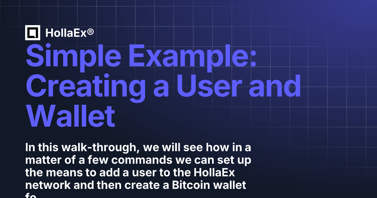 Simple Example: Creating a User and Wallet | HollaEx®